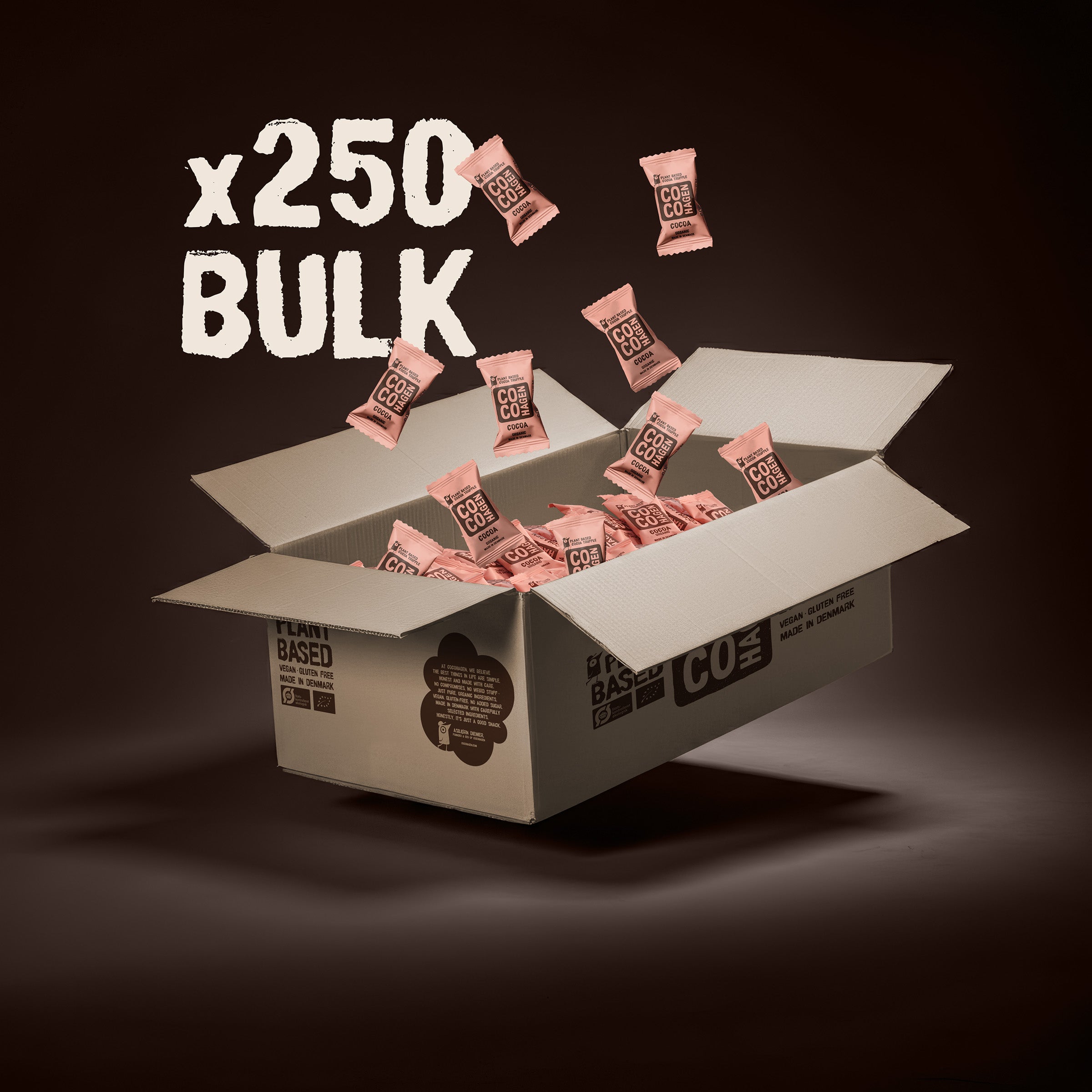 Cocohagen Cocoa & Date Bars 20 gram Bulk